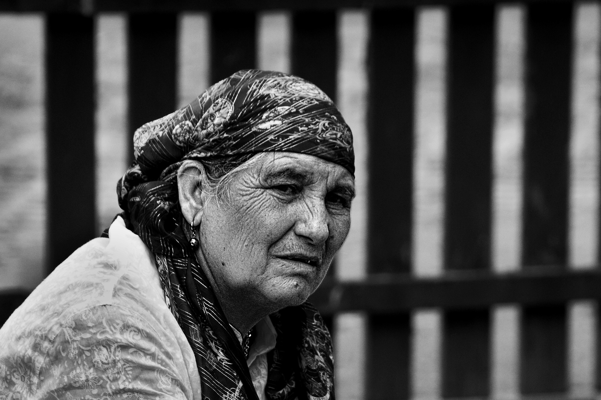 The Roma People - Woody McGehee