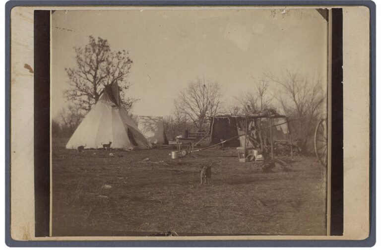 Comanche History: Facts, Culture, and Legacy - Woody McGehee