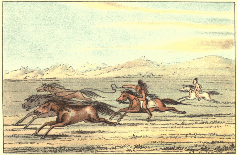 Comanche History: Facts, Culture, and Legacy - Woody McGehee