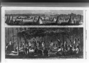 Comanche History: Facts, Culture, and Legacy - Woody McGehee