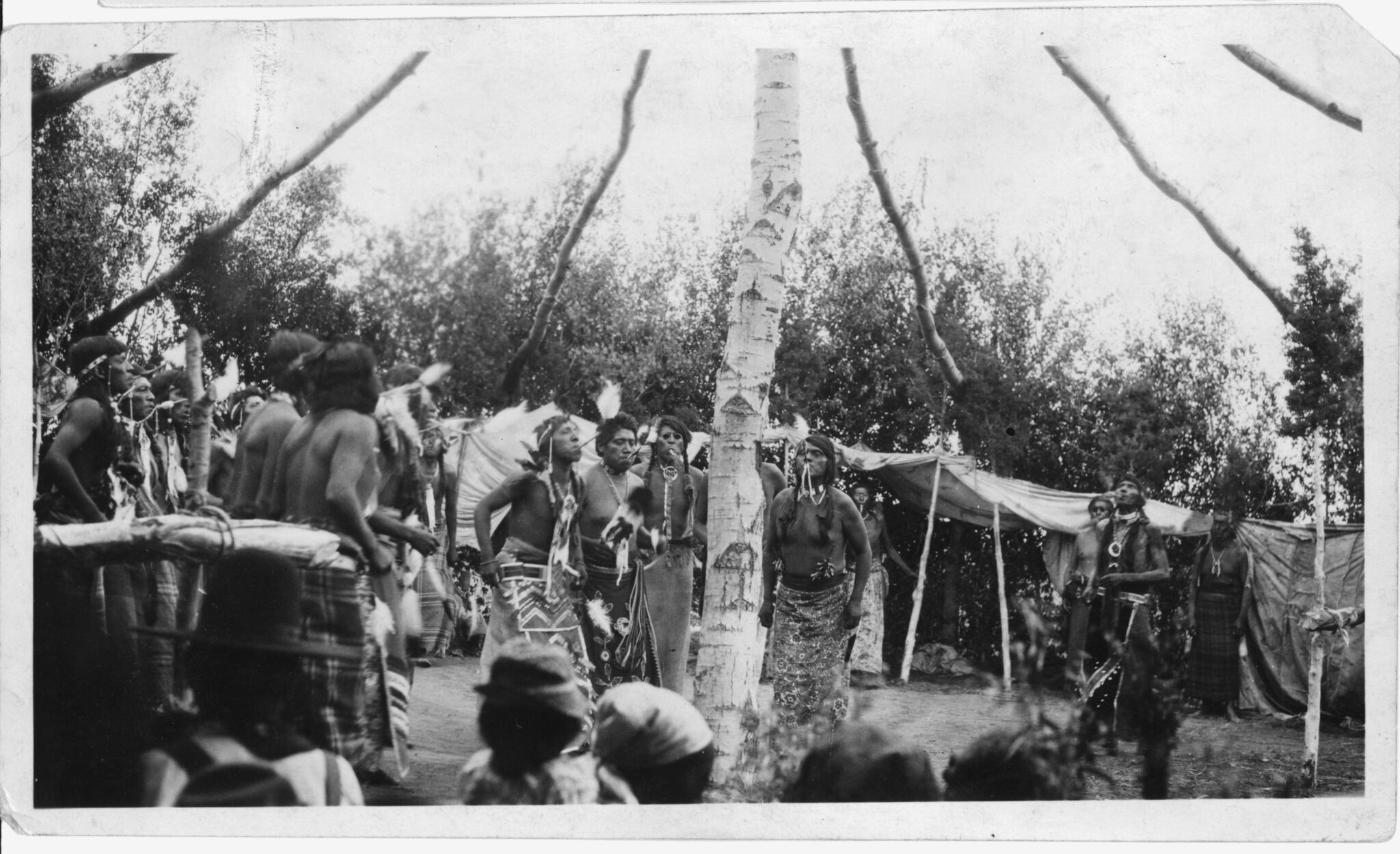The Shoshone People: Powerful Plains Horse Warriors - Woody McGehee